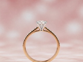 Diamantring online kaufen, zertifizierte Ringe mit Diamant günstig ...